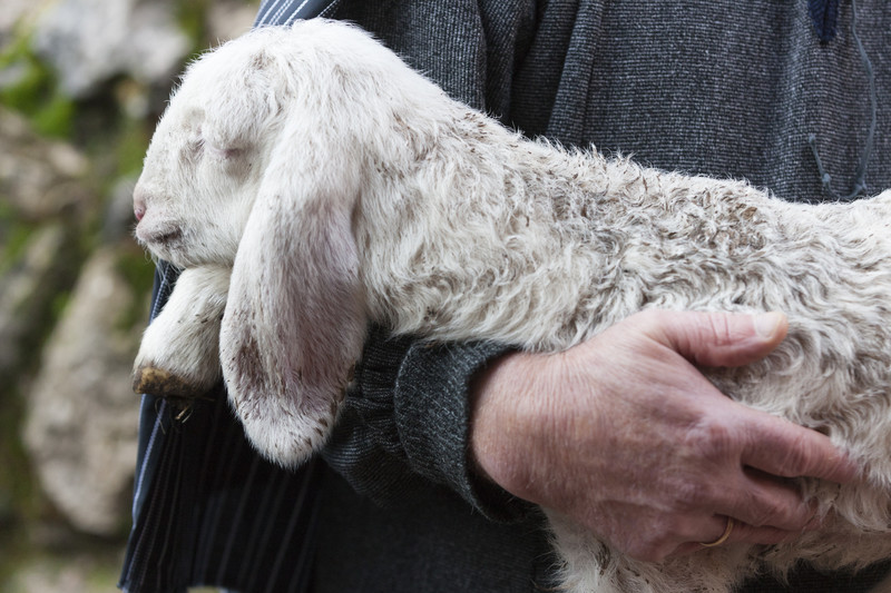 This Same Jesus (A Reading) – The Bottom Line, Ministries