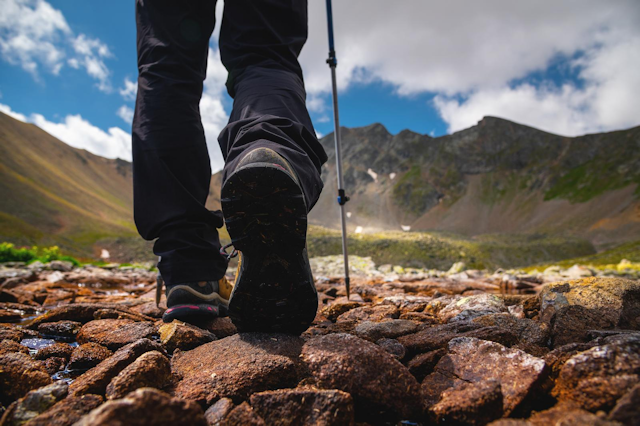 God’s Purpose For You – The Bottom Line, Ministries