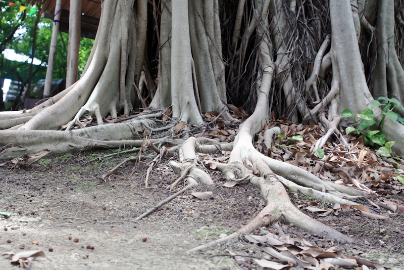 Faith Rooted In God’s Love – The Bottom Line, Ministries