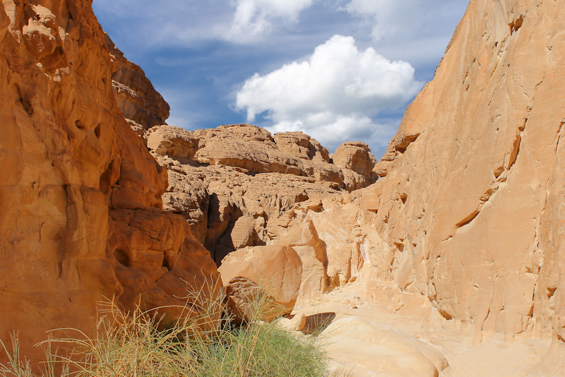 The Ten Commandments (Poem) – The Bottom Line, Ministries