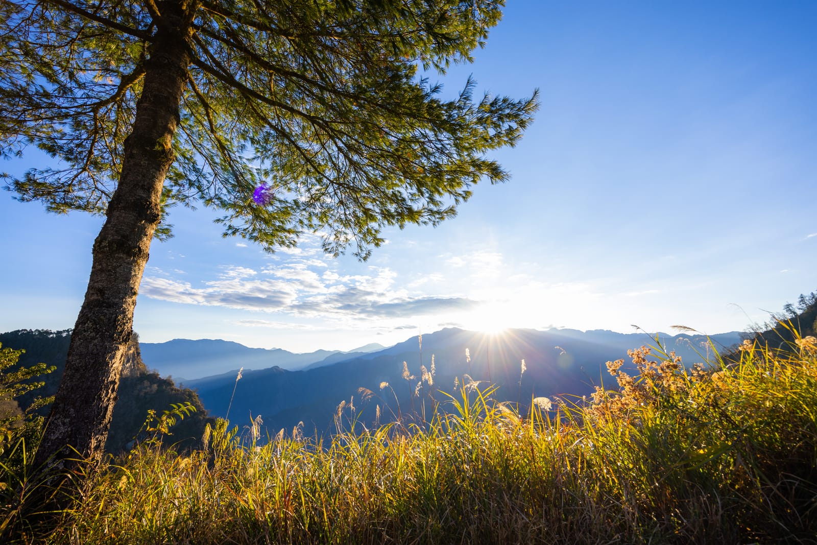 Battle Stations January 2026 战斗岗位 2026年1月 – The Bottom Line, Ministries